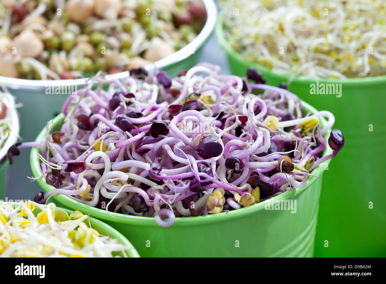 Mixed vegetable sprouts in container, close up Stock Photo - Alamy