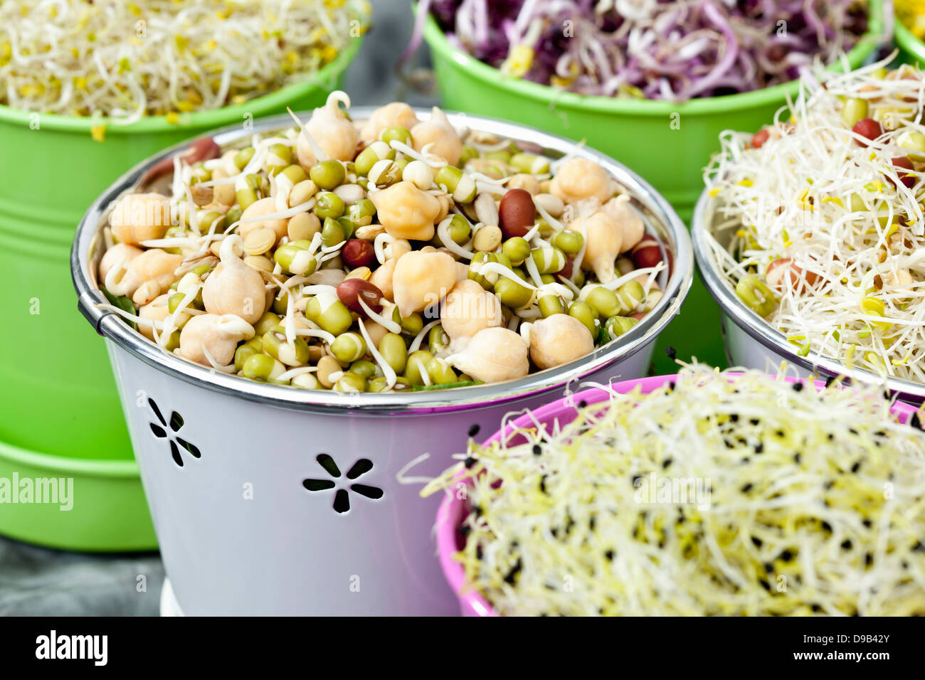 Mixed vegetable sprouts in container, close up Stock Photo - Alamy