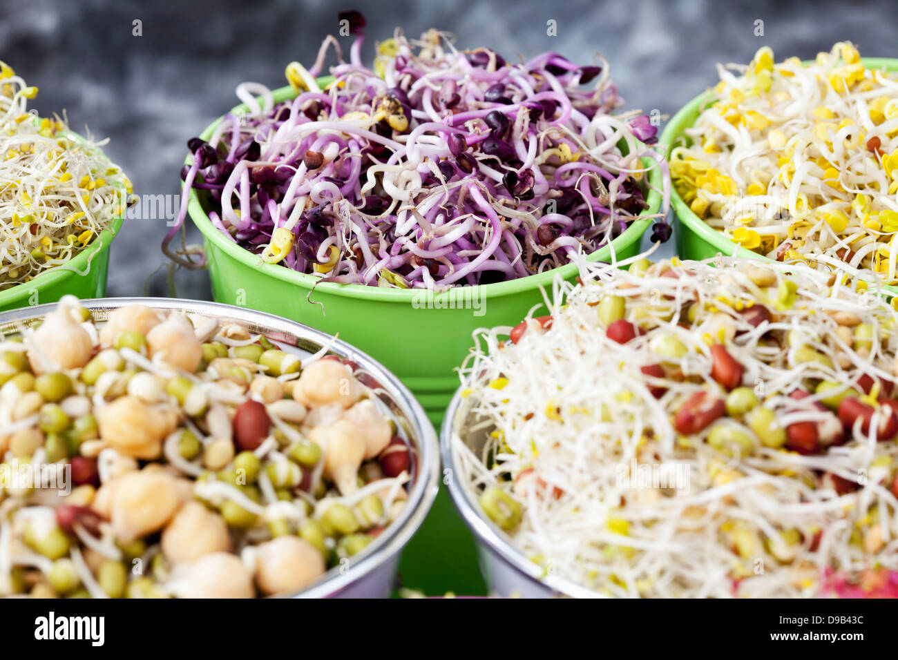 Mixed sprouts in container, close up Stock Photo - Alamy
