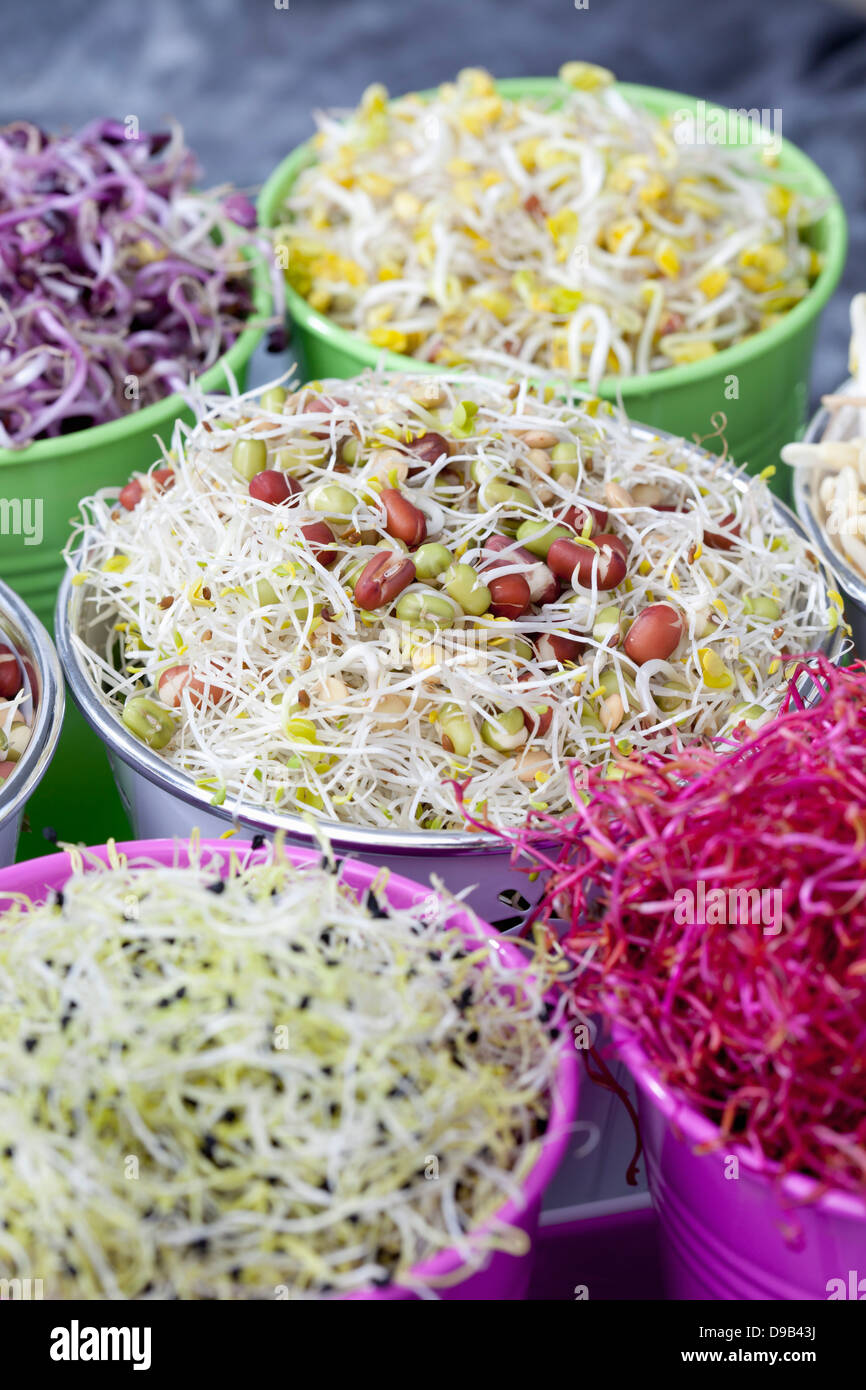 Mixed sprouts in container, close up Stock Photo - Alamy
