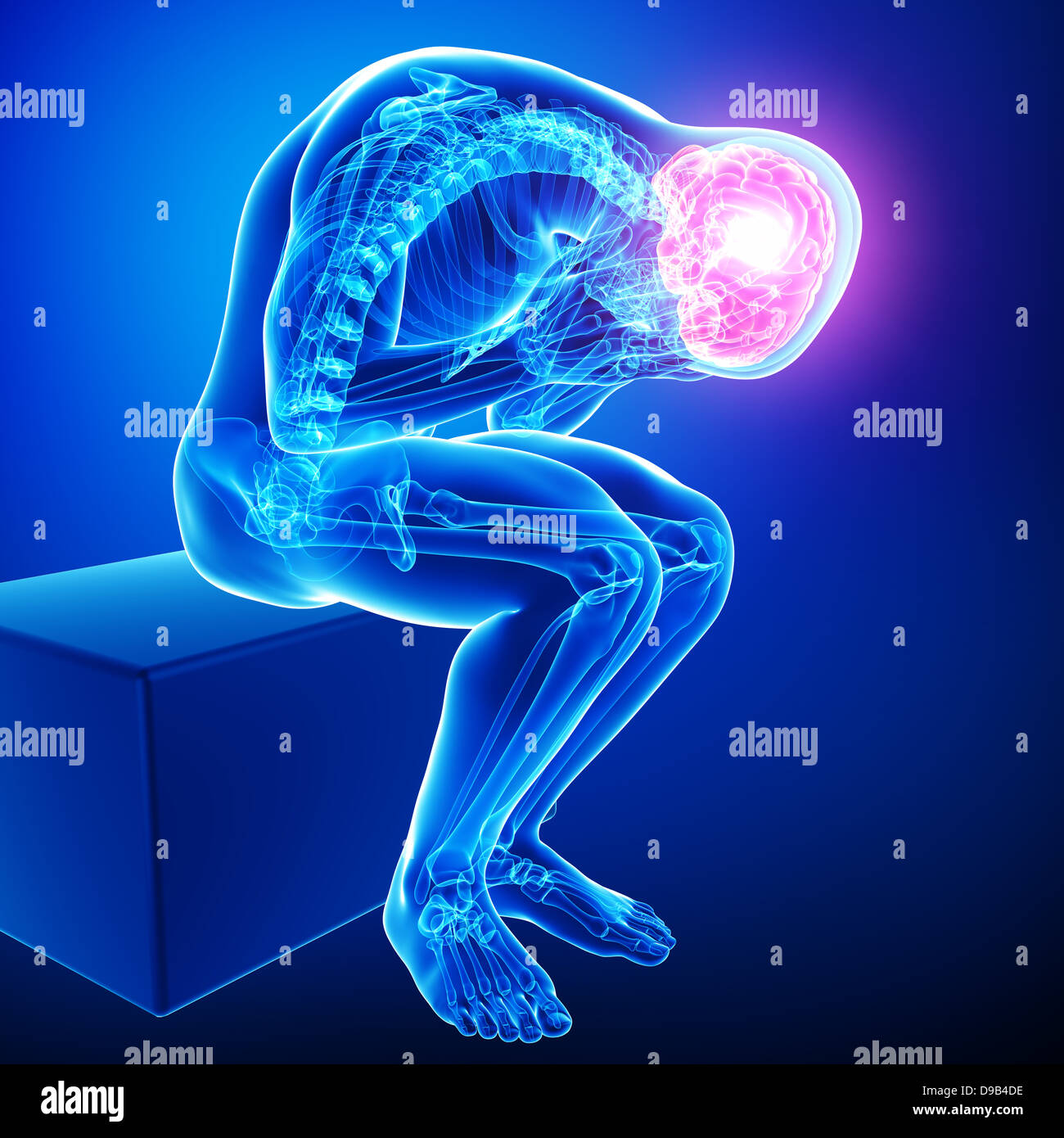 Human headache anatomy Stock Photo - Alamy