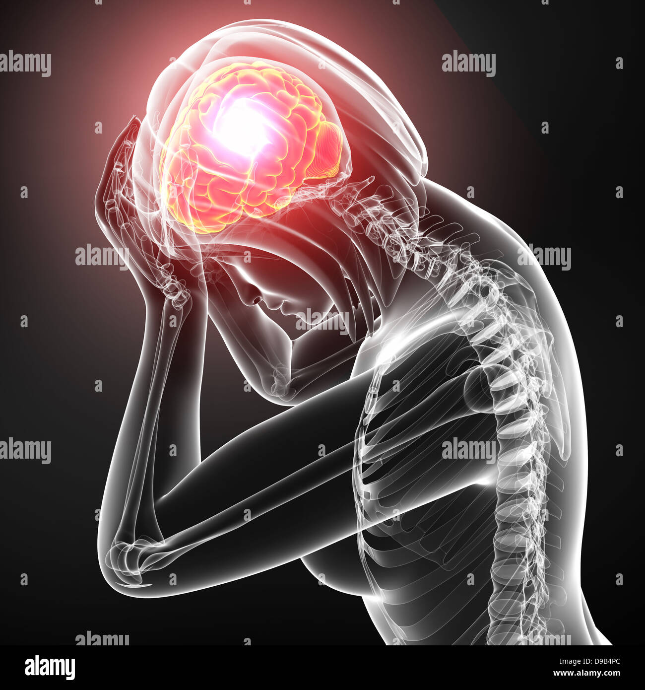 Human headache anatomy Stock Photo - Alamy