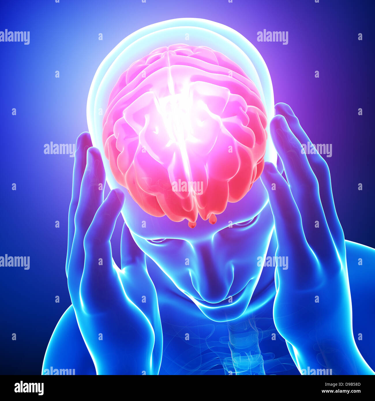 Human headache anatomy Stock Photo - Alamy