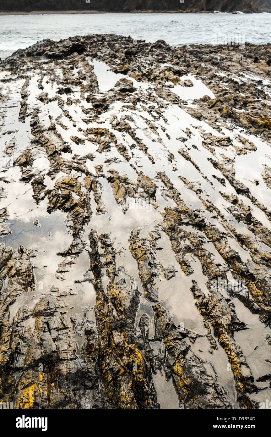 Rock pools on jagged rock Stock Photo - Alamy