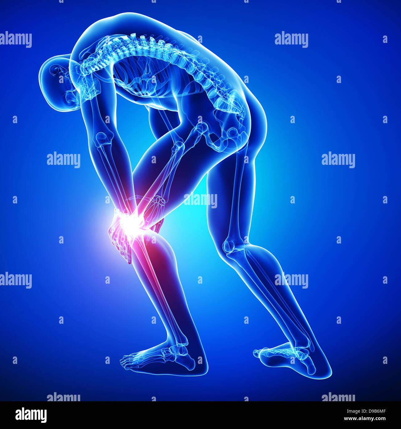 Human knee pain anatomy Stock Photo - Alamy