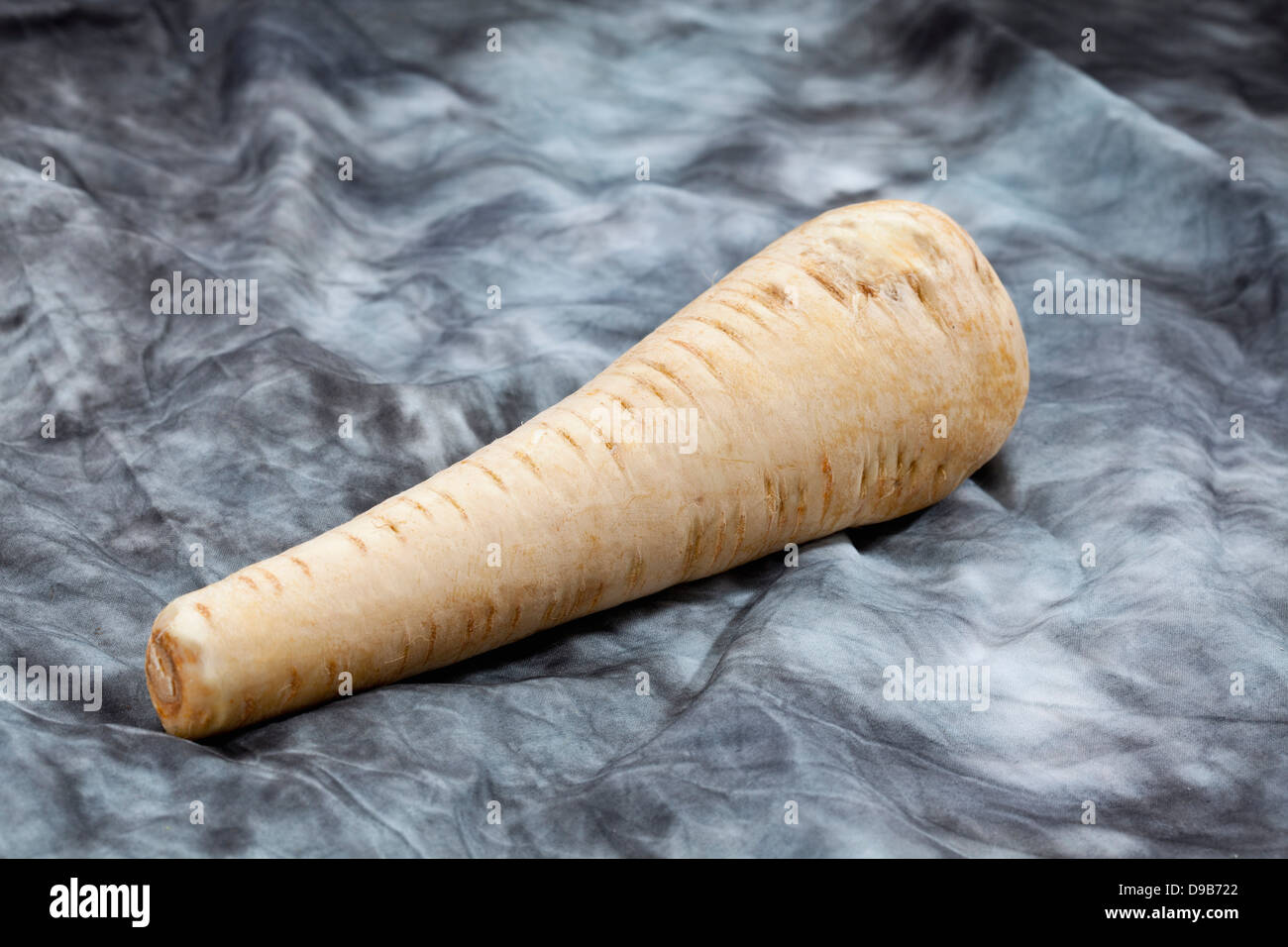 Parsnip root on grey background, close up Stock Photo - Alamy