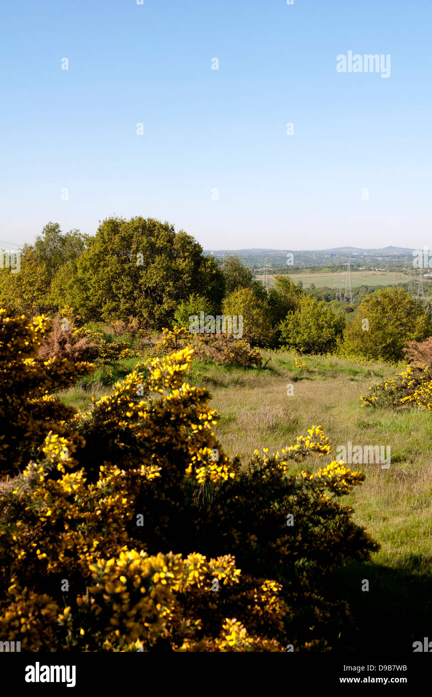 Barr Beacon, West Midlands, England, UK Stock Photo - Alamy