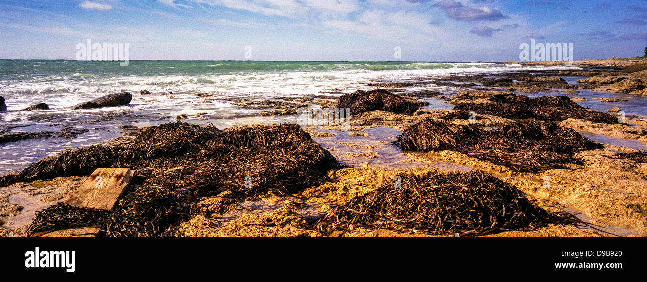 Panoramic photo of rocks, beach and sea, Cyprus Stock Photo - Alamy