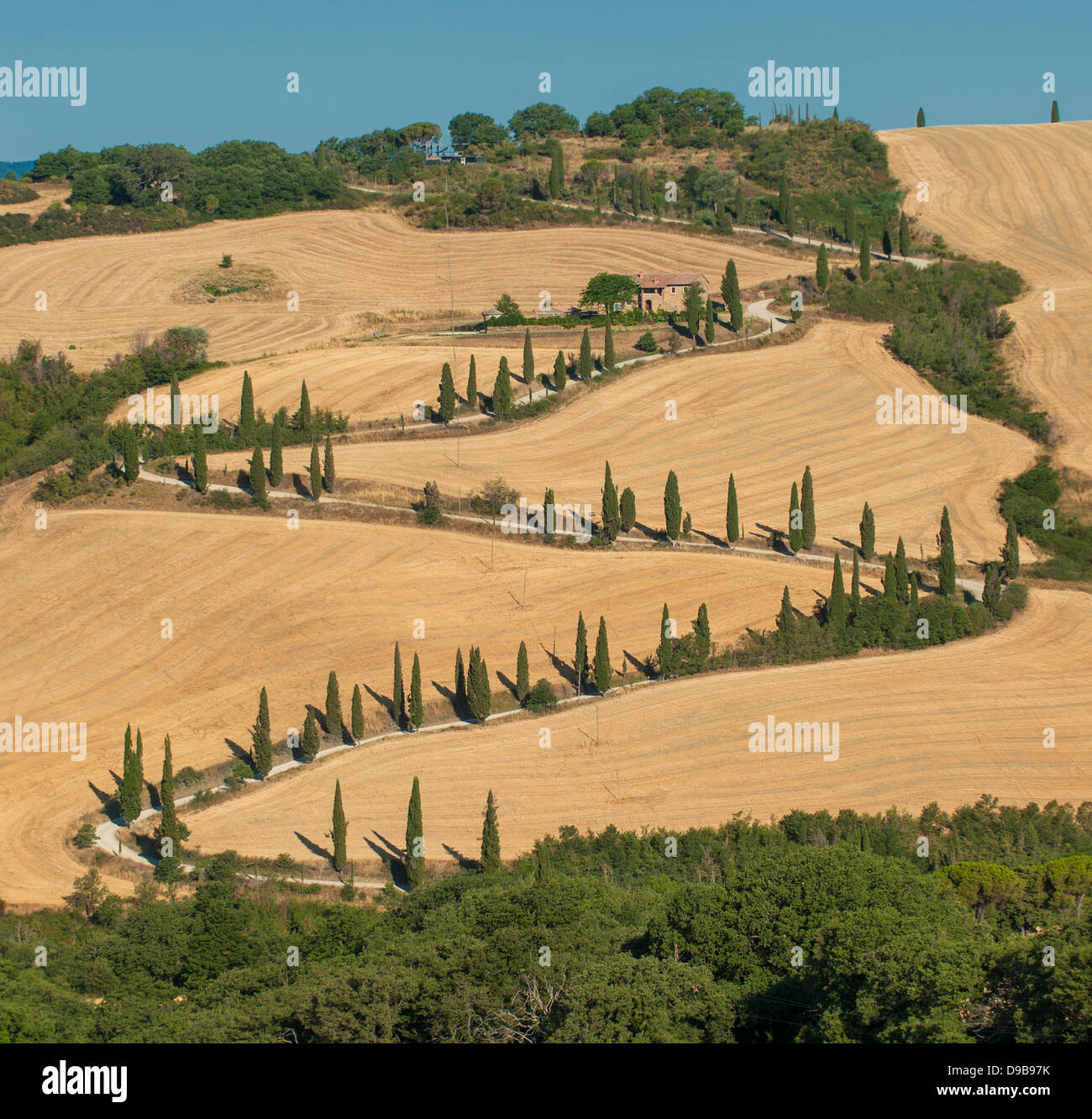 image of typical tuscan landscape Stock Photo - Alamy