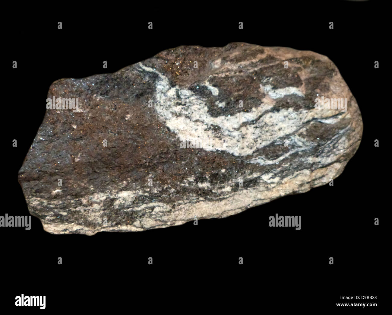 Black mica hi-res stock photography and images - Alamy