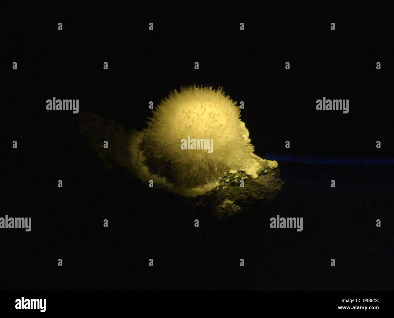 Mesolite from India. This is a tectosilicate mineral and is a member of ...