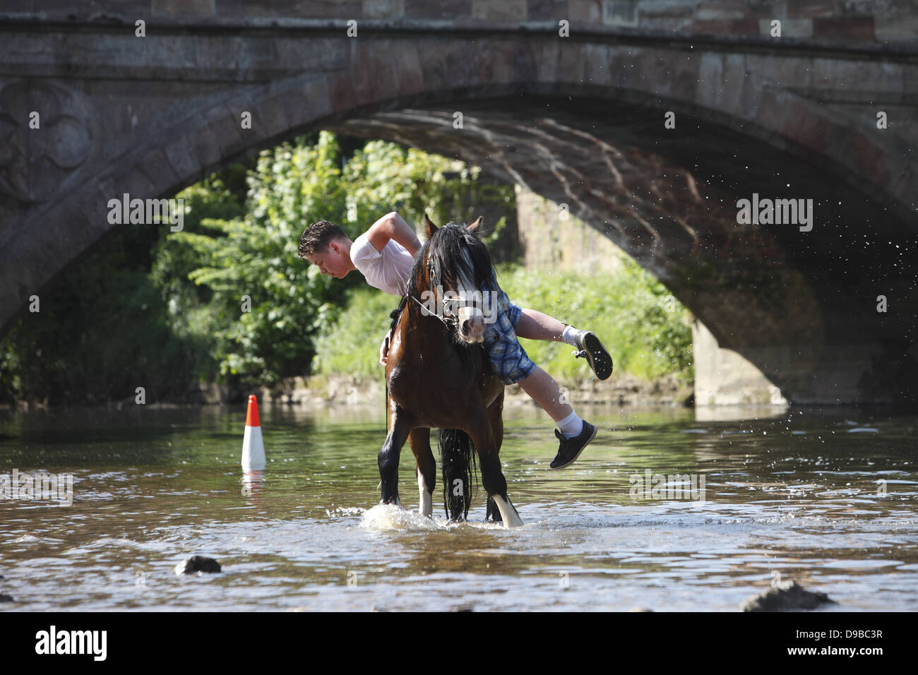 Boy horse clean hi-res stock photography and images - Alamy