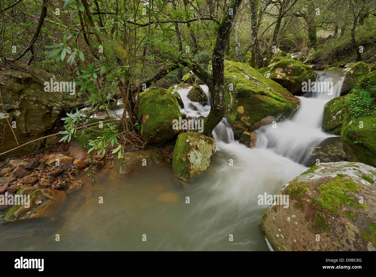 waterfalls river, Los Alcornocales andalusia natural park forest ...