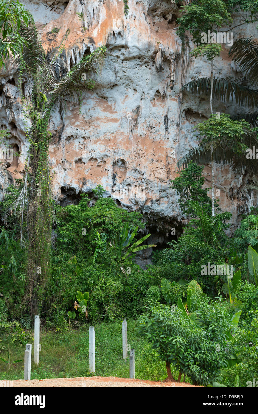 Karst Rock near Krabi in Thailand Stock Photo - Alamy