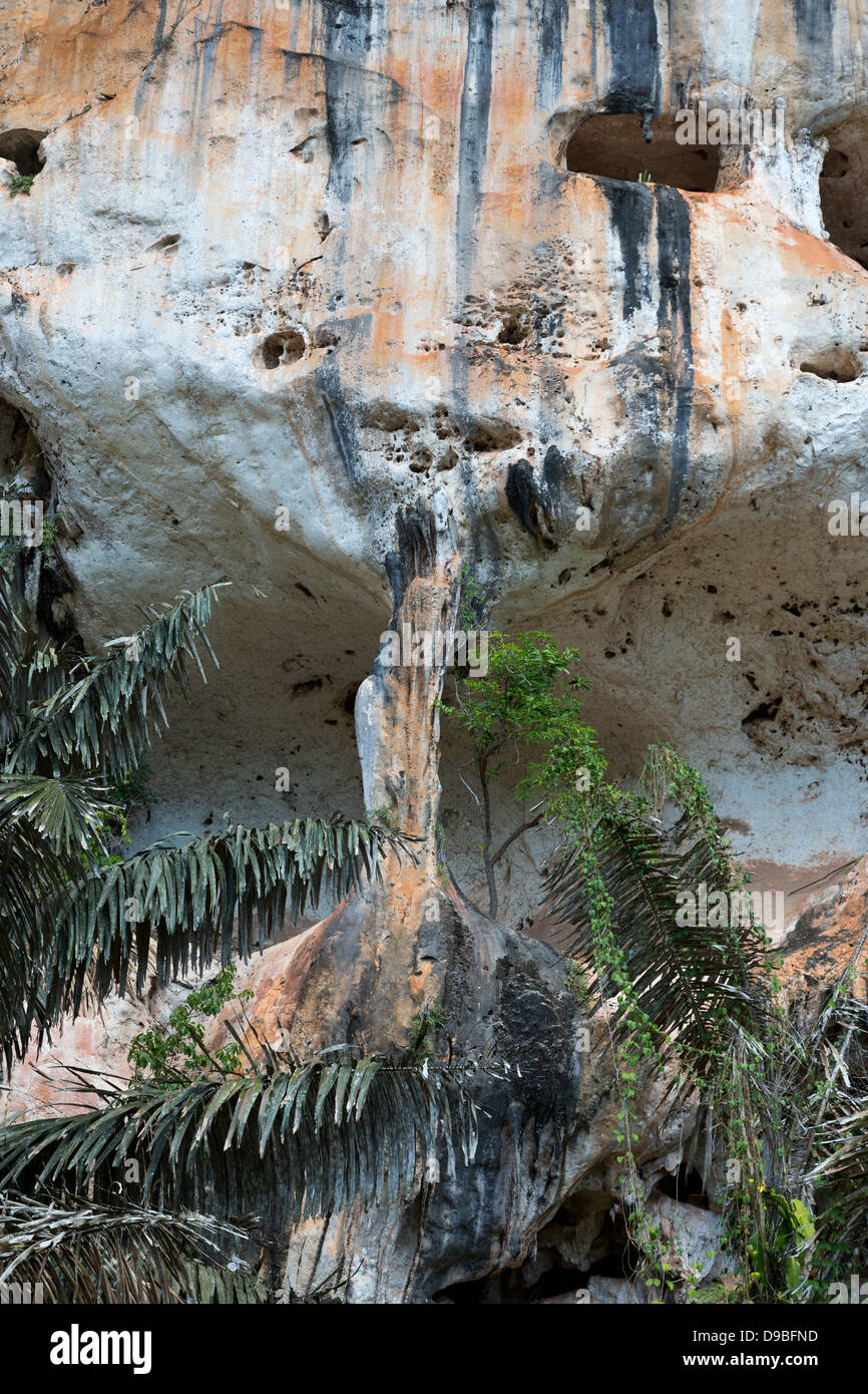 Karst Rock near Krabi in Thailand Stock Photo - Alamy