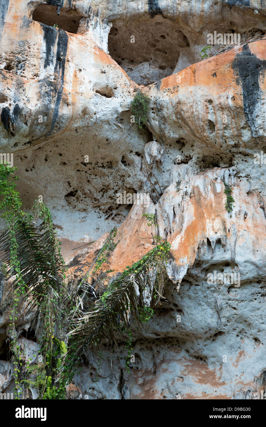 Karst Rock near Krabi in Thailand Stock Photo - Alamy