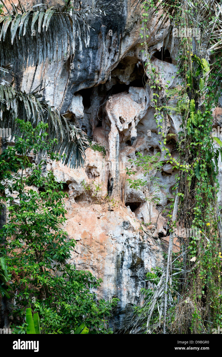 Karst Rock near Krabi in Thailand Stock Photo - Alamy
