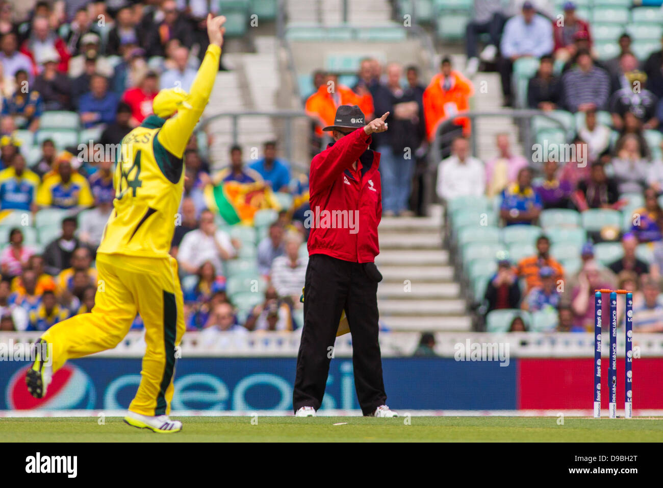 Cricket umpire signals out hi-res stock photography and images - Alamy