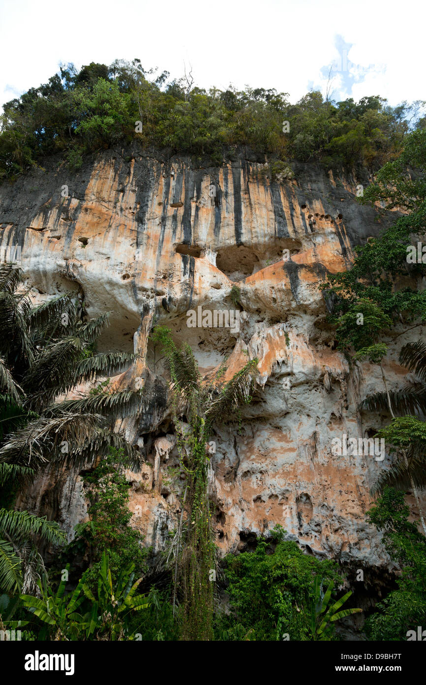 Karst Rock near Krabi in Thailand Stock Photo - Alamy