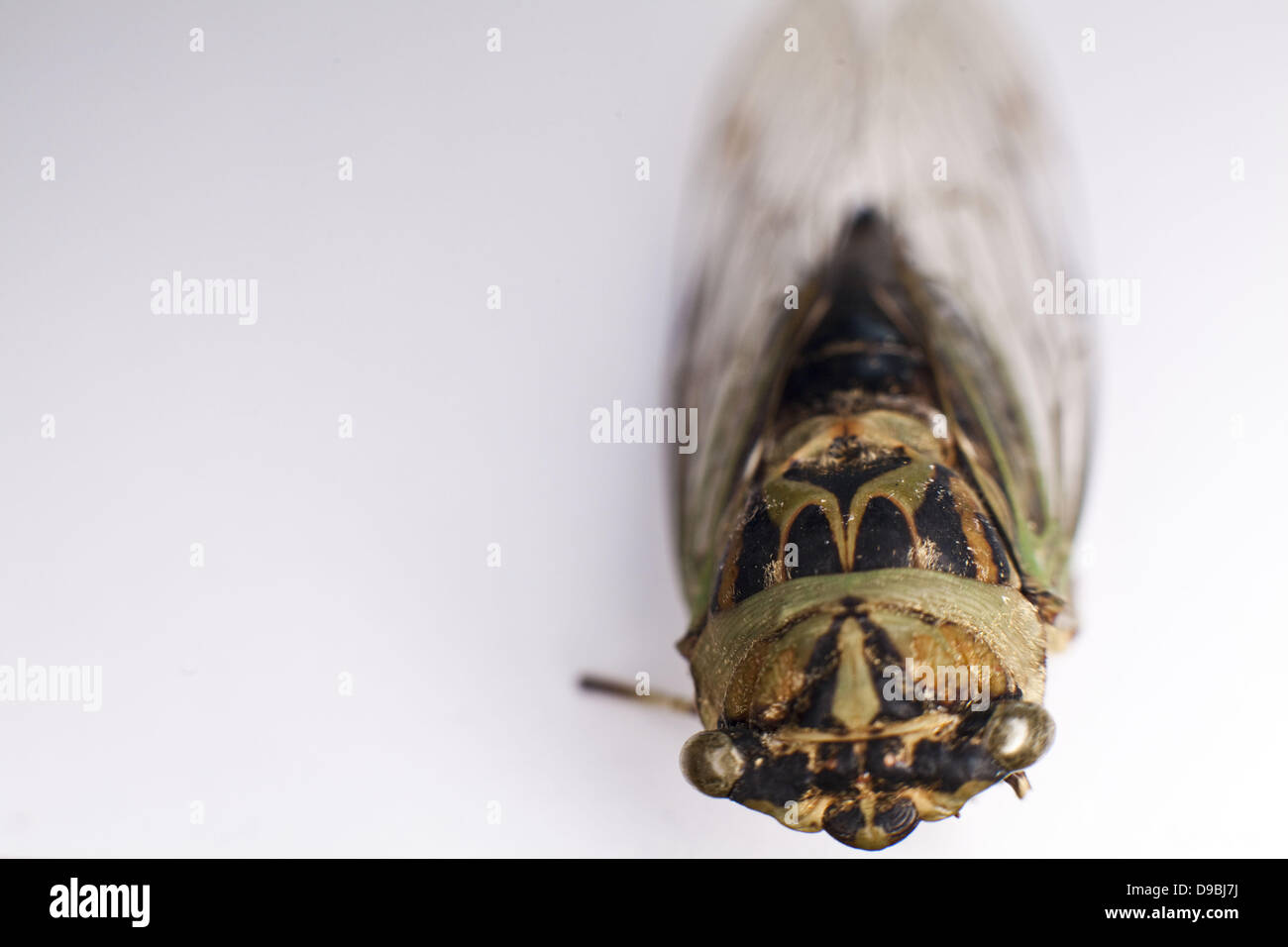 30 trillion hi-res stock photography and images - Alamy