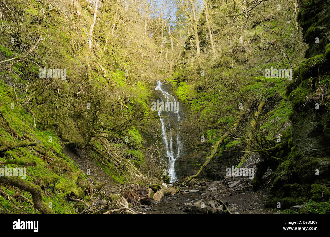Radnor forest uk hi-res stock photography and images - Alamy