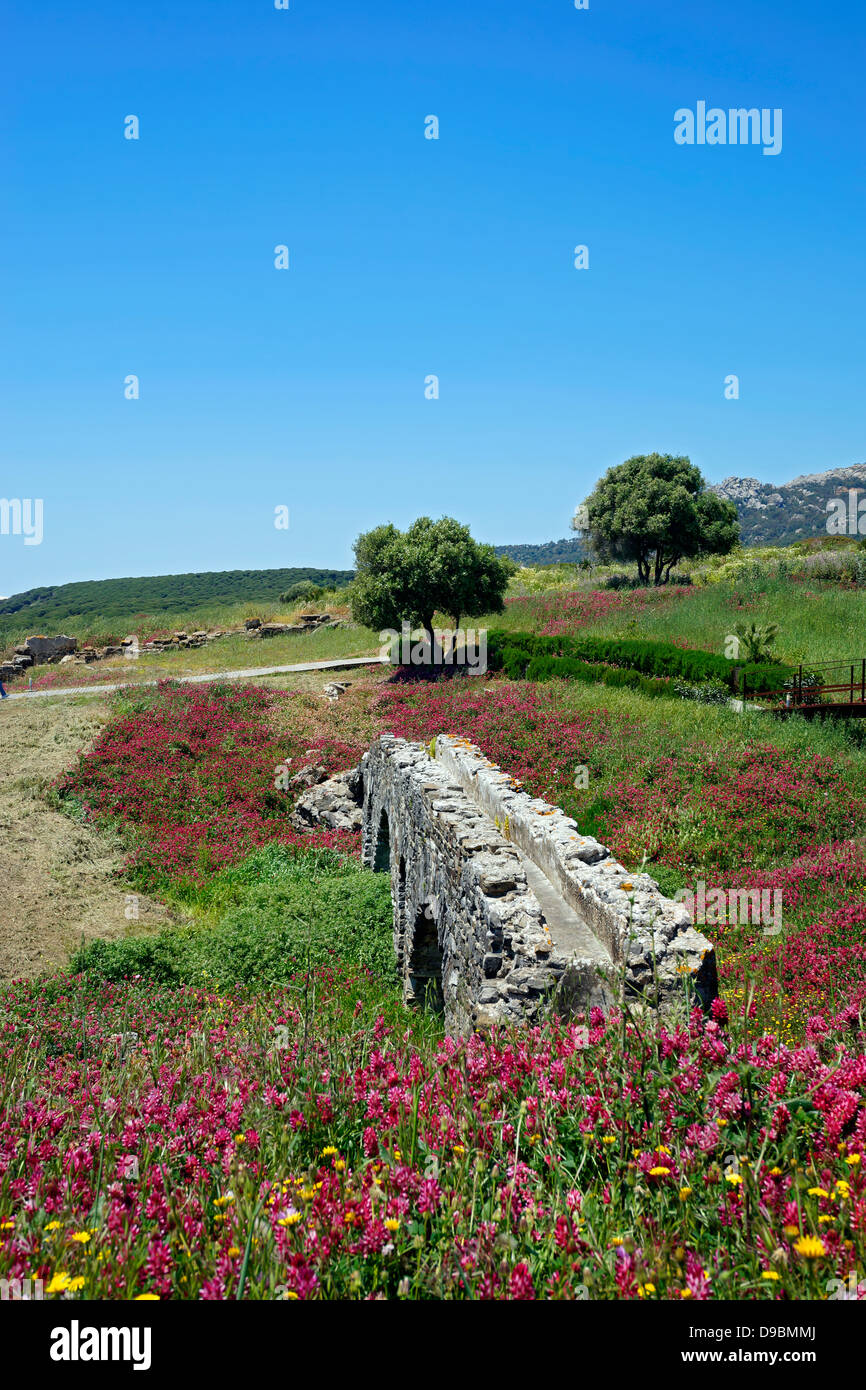 Baelo Claudia, Bolonia, Roman archeology, ruinas romanas, Roman bridge ...
