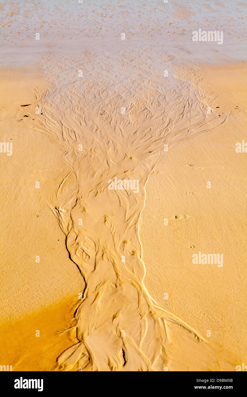 Water marks on a beach in Australia Stock Photo - Alamy
