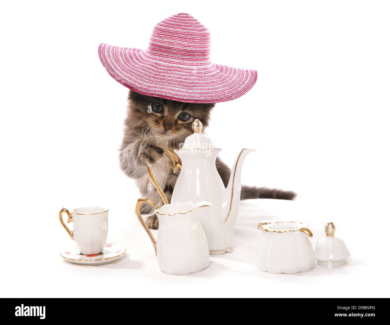 Walter Potter Kitten Tea Party