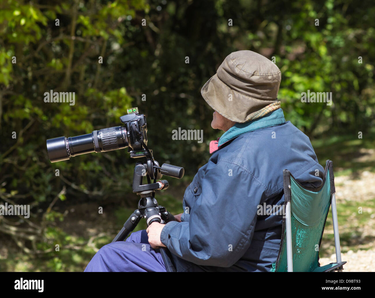 Nature photographer, sitting waiting for pictures, New Forest National ...