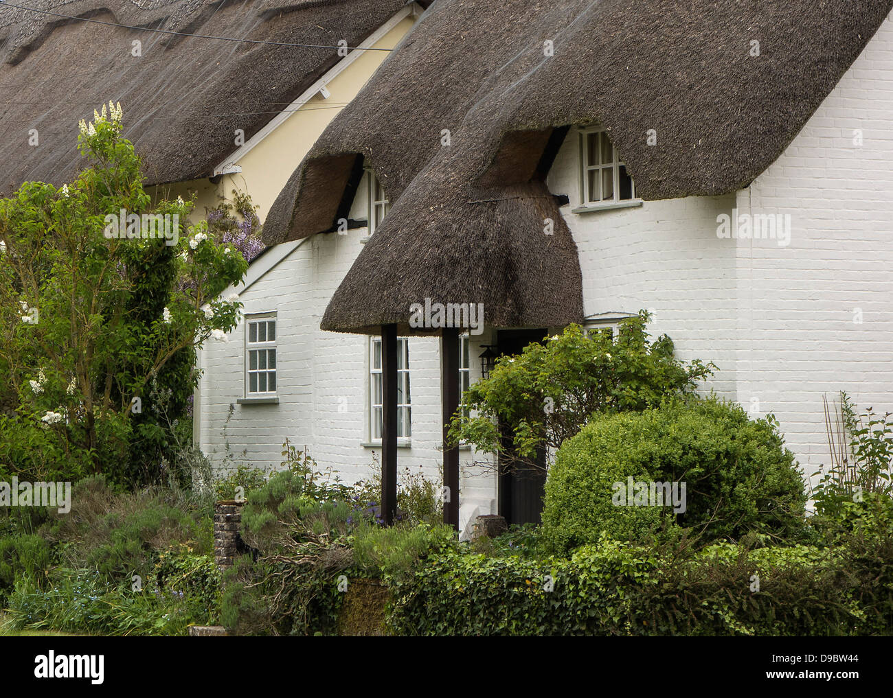 Thatched Cottage, Hampshire, England, UK. Europe Stock Photo - Alamy