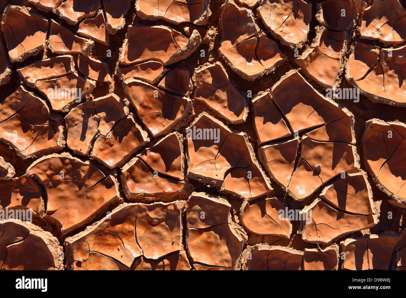 USA, Navada, Cracked surface of dried clay Stock Photo - Alamy