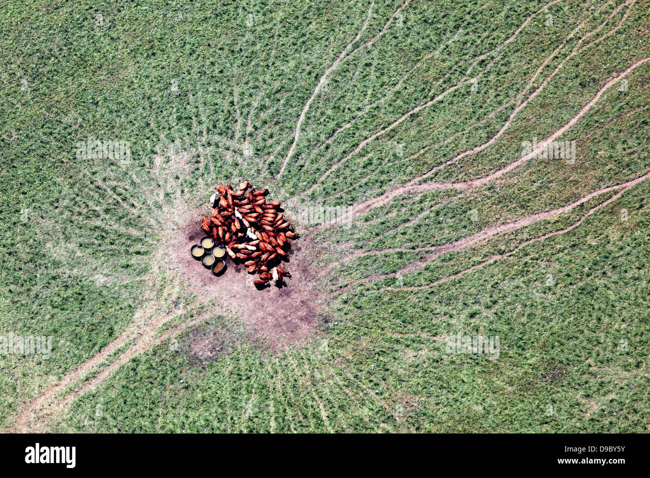 Germany agriculture livestock aerial hi-res stock photography and ...