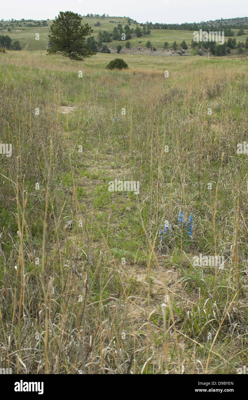 Oregon trail ruts state historic site hi-res stock photography and ...