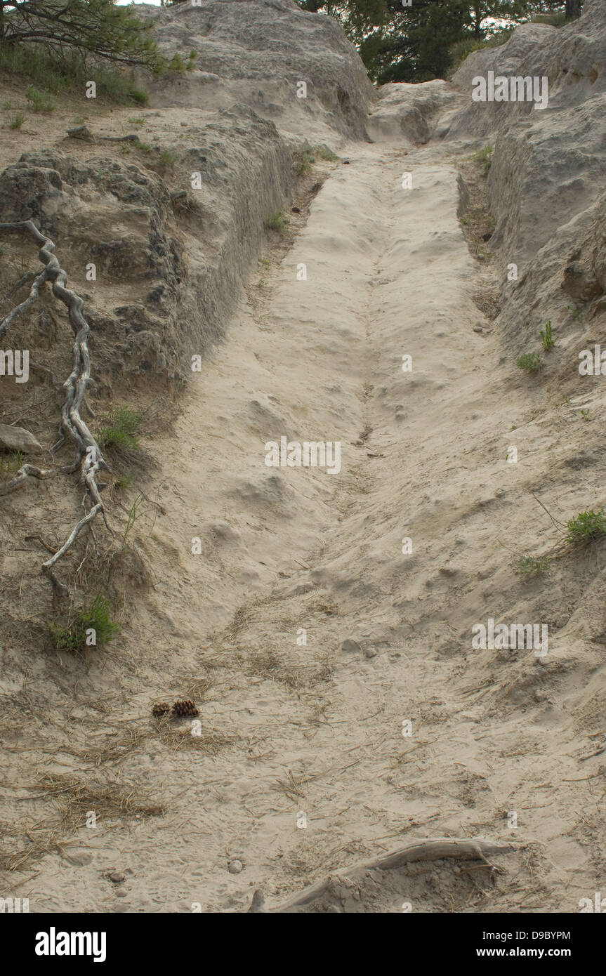 Oregon trail wagon tracks hi-res stock photography and images - Alamy
