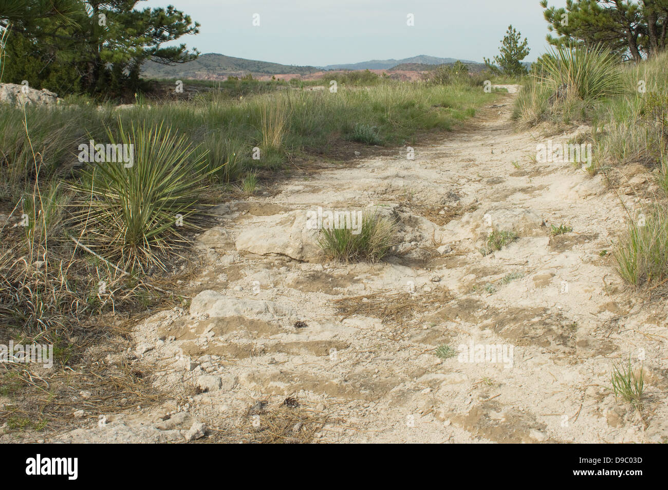 Wagon wheel ruts hi-res stock photography and images - Alamy