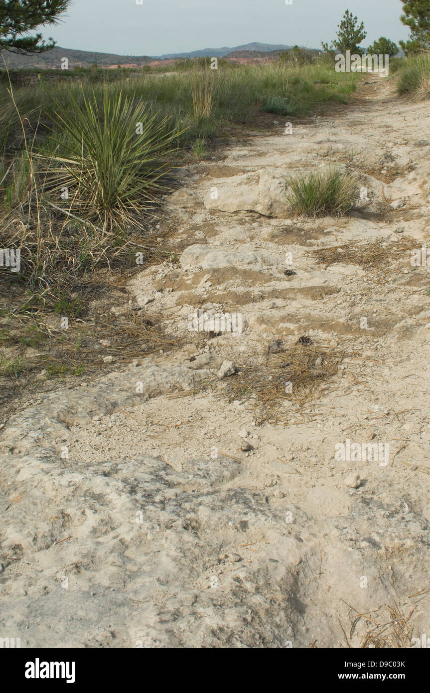 Oregon trail ruts state historic site hi-res stock photography and ...