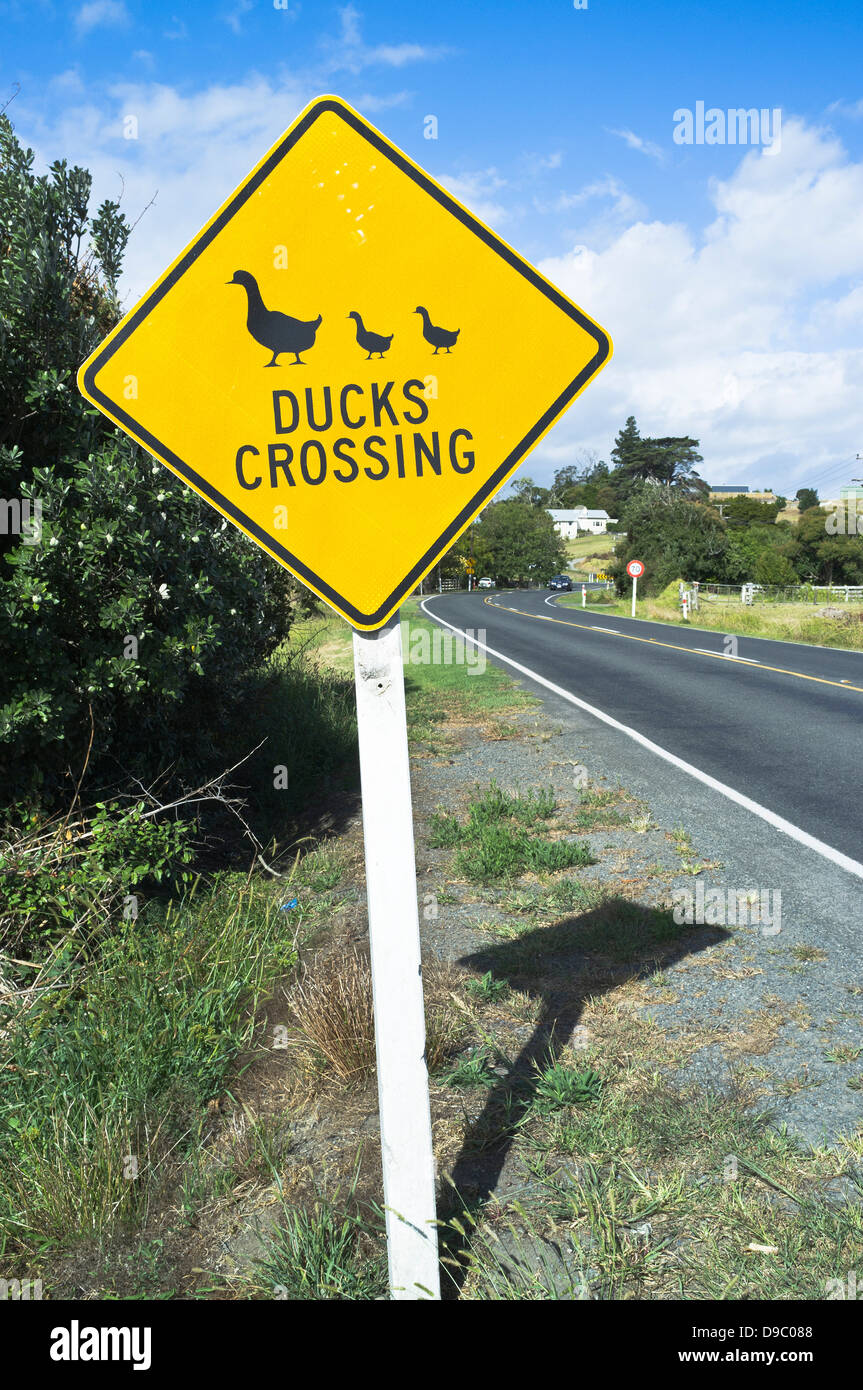 dh NORTHLAND NEW ZEALAND Ducks crossing sign caution signpost warning ...