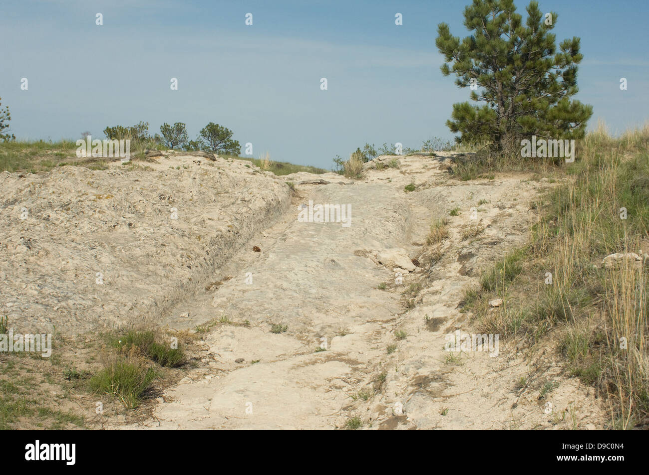 Wagon ruts of the Oregon Trail near Guernsey, Wyoming. Digital ...