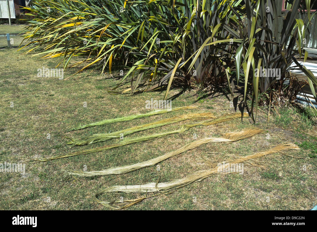 dh FOXTON NEW ZEALAND Foxton flax stripper museum flax drying Stock ...