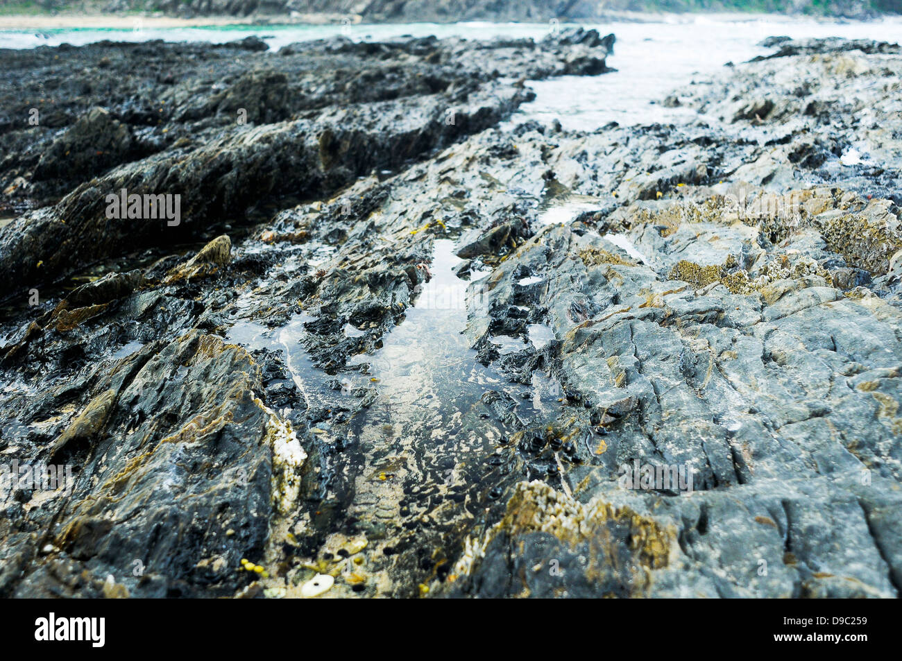 Rock and water Stock Photo - Alamy