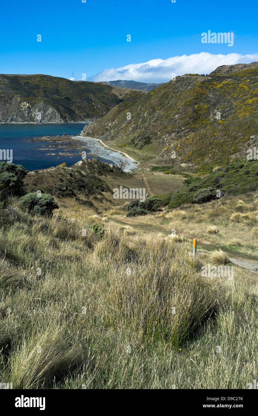 Makara hi-res stock photography and images - Alamy
