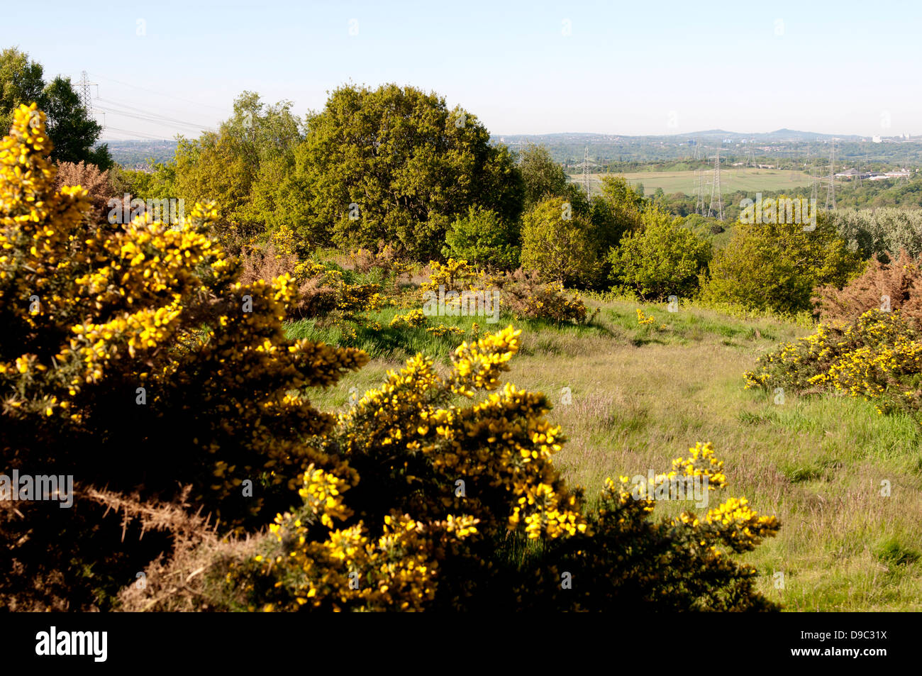 Barr Beacon, West Midlands, England, UK Stock Photo - Alamy