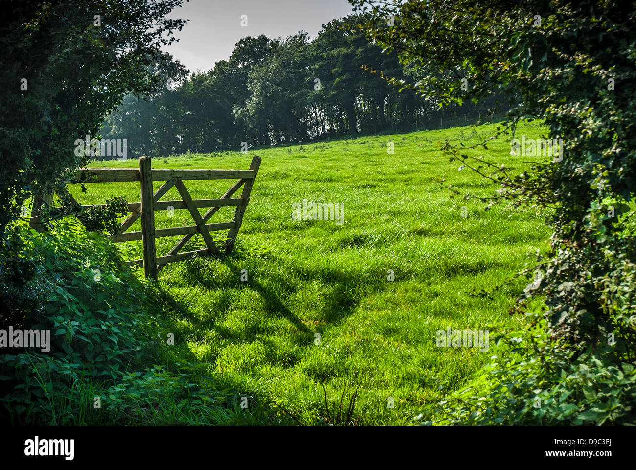 Gate Open Field Stock Photos & Gate Open Field Stock Images - Alamy