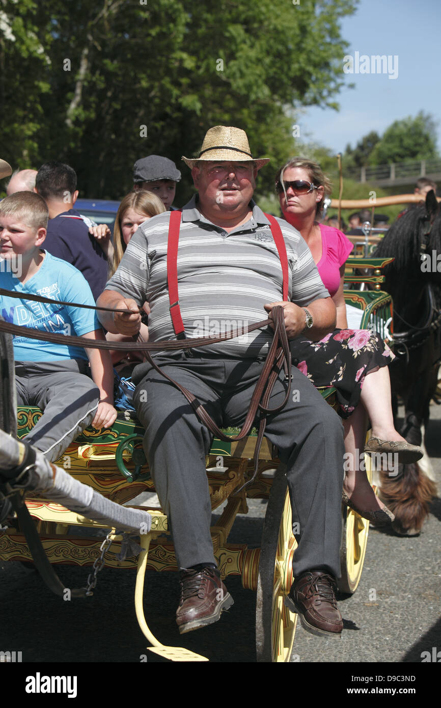 Irish Horse Carts High Resolution Stock Photography and Images - Alamy