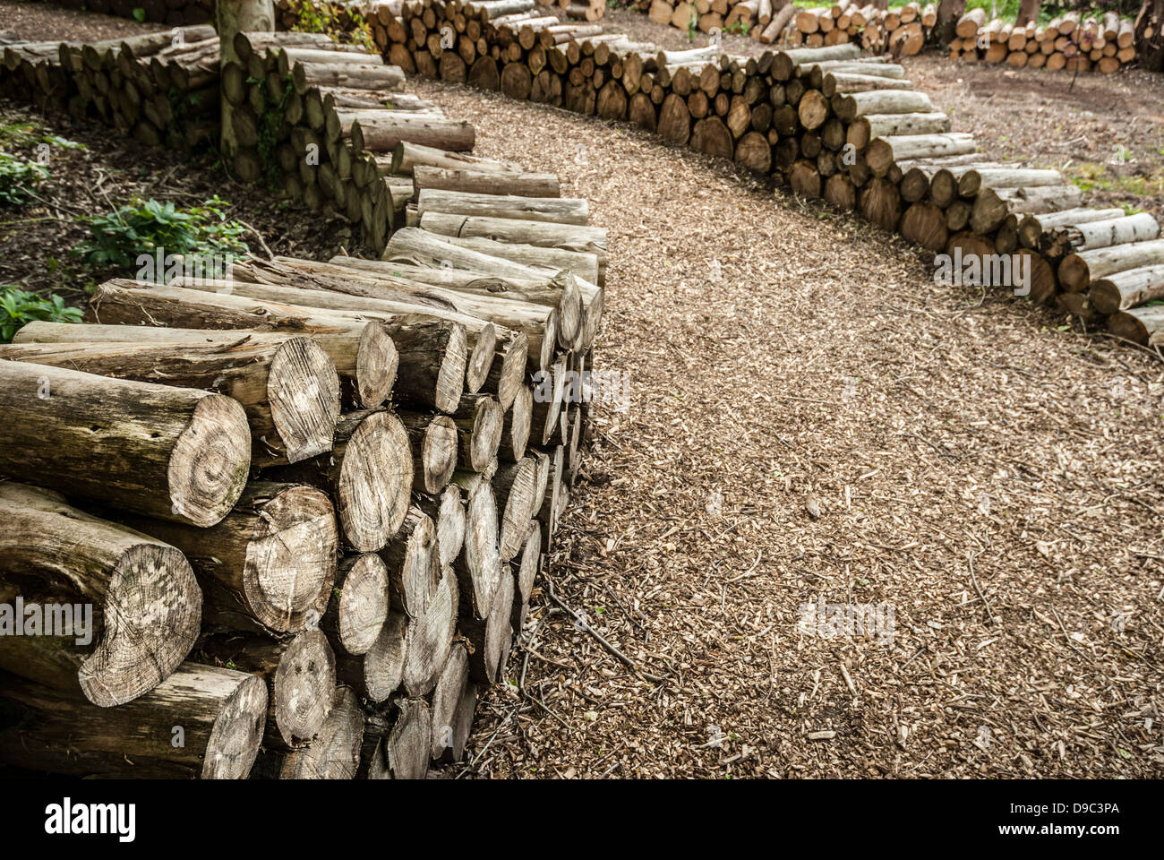 An artistic arrangement of logs in a forest Stock Photo - Alamy