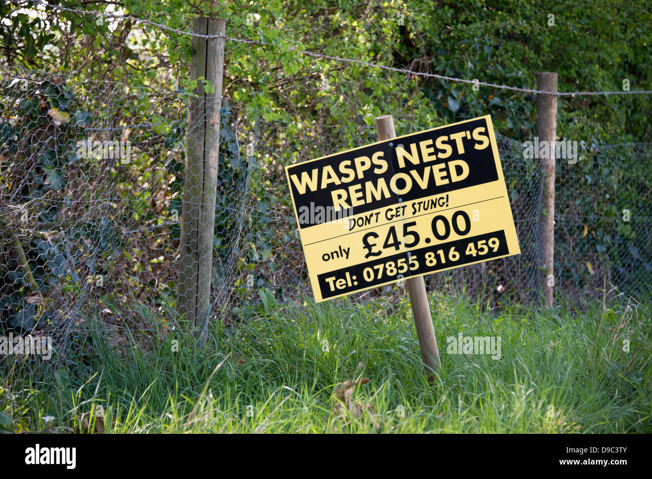 Wasps Nests Removed Sign Pest control Stock Photo - Alamy