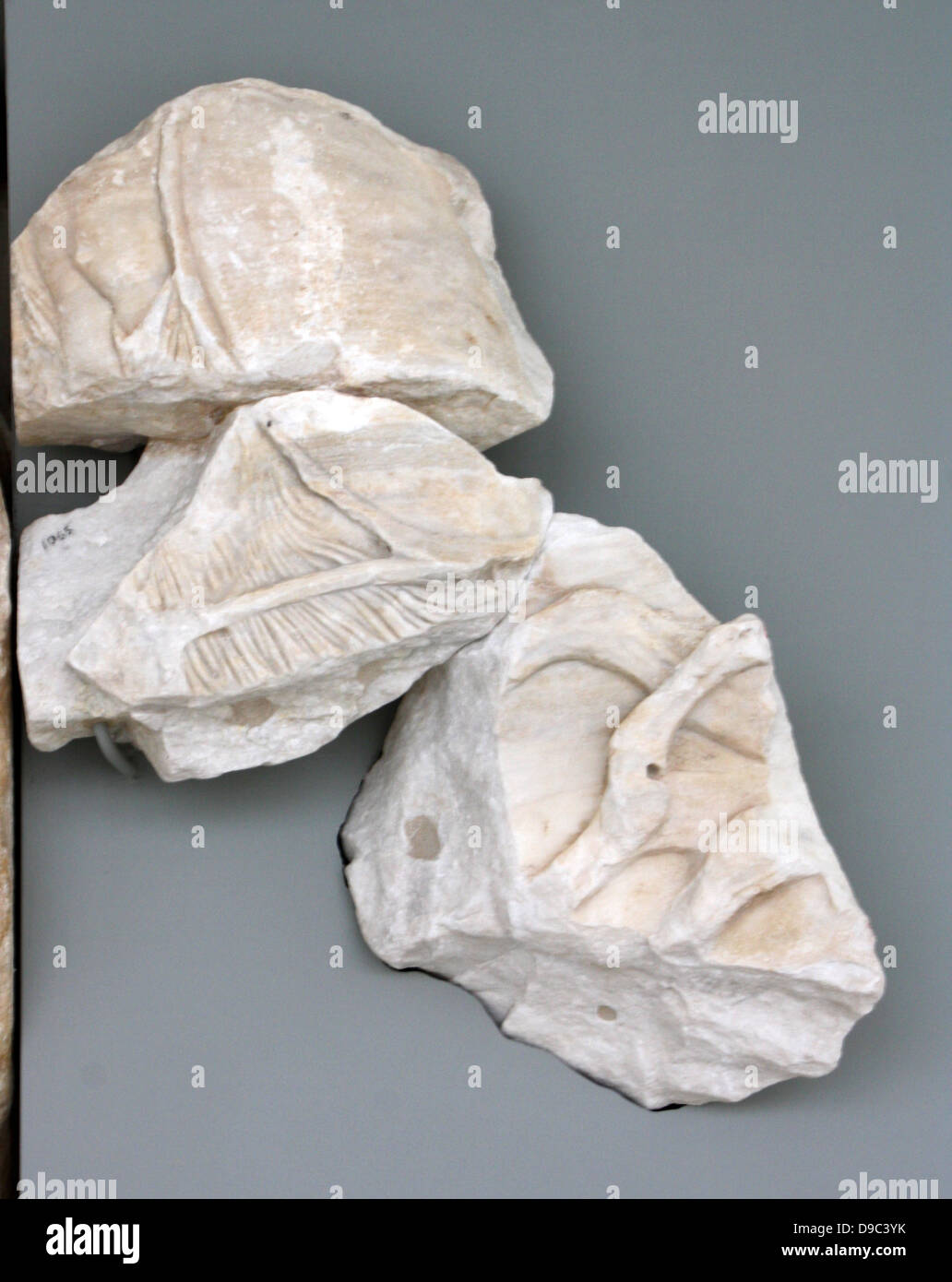 Next to the charioteer the apobates (hoplite-athlete) with a chiton and ...