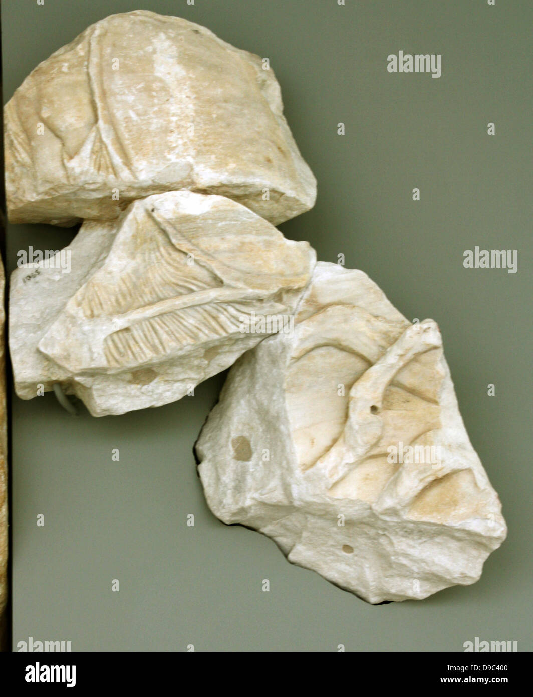 Next to the charioteer the apobates (hoplite-athlete) with a chiton and ...