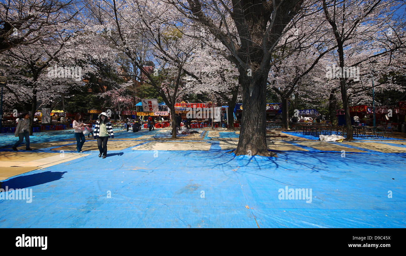 Makeshift Stalls and Sitting Mats at Yasukuni Shrine during the Cherry ...