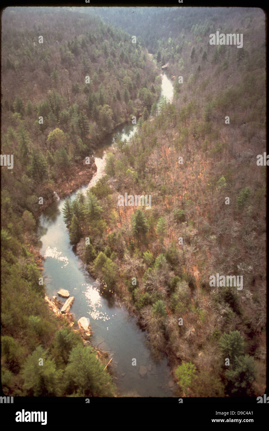 Obed Wild and Scenic River in Tennessee offers visitors pristine ...